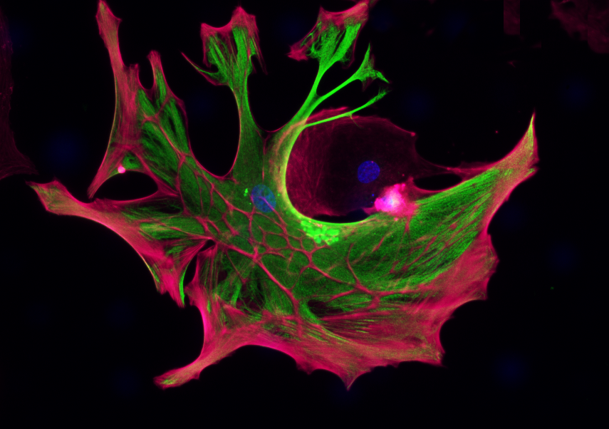 Onderzoeker met een passie - VKS Wisselstof